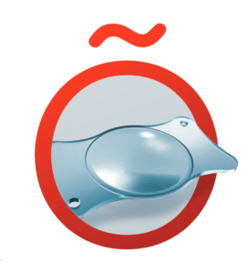 REFRACTIVE SURGERY WITH INTRAOCULAR LENSES - visiõnclínic